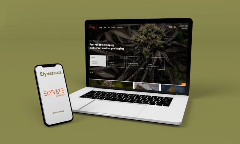 Elyvate | Free Cannabis Delivery Service